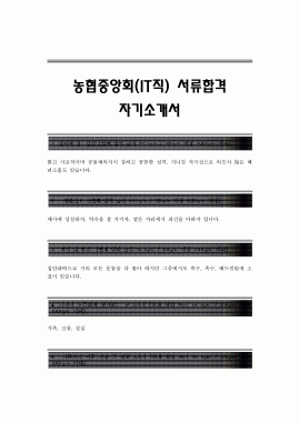 [농협중앙회자기소개서] 농협중앙회(IT직) 서류합격 자기소개서_농협중앙회 합격 자소서-1페이지