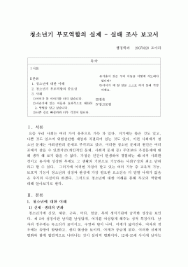 청소년기 부모역할의 실제 - 실태 조사 보고서-1페이지