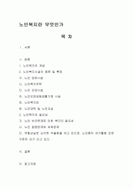 노인복지란 무엇인가-1페이지