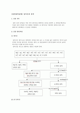 [일반화학실험] 양이온의 분석-1페이지