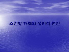 소연방 해체의 정치적 원인 -1페이지