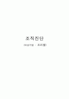 조직 진단  (대상기업 - 프리챌) -1페이지