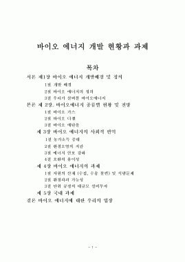 바이오 에너지 개발 현황과 과제 -1페이지