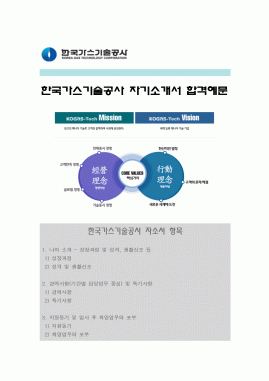 [2013한국가스기술공사자기소개서] 최종합격 한국가스기술공사 자기소개서+면접족보_한국가스기술공사자기소개서예문_한국가스기술공사자기소개서샘플_한국가스기술공사자소서-1페이지