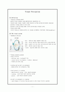 [의학] 시지각 (Visual Perception)에 관해-1페이지