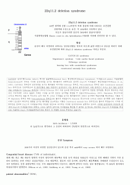 [의학] 22q11.2 deletion syndrome-1페이지