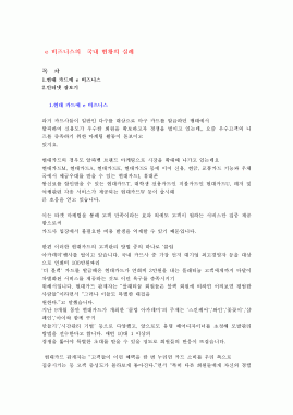 [경영,경제] e 비즈니스의  국내 현황의 실례-1페이지