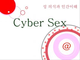 사이버섹스의매커니즘,사이버문화,성문화,성의식-1페이지