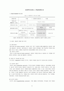 [아동복지] 사회복지서비스 전달체계조사-1페이지