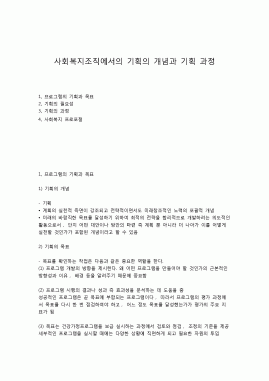 사회복지조직에서의 기획의 개념과 기획의 과정-1페이지