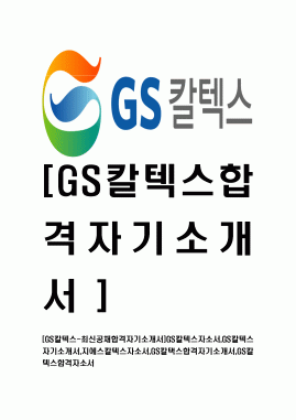 [GS칼텍스-2013년최신공채합격자기소개서] GS칼텍스자소서,GS칼텍스자기소개서,지에스칼텍스자소서,GS칼택스합격자기소개서,GS칼텍스합격자소서-1페이지