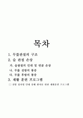 무릎손상 (통증, 재활 훈련 프로그램, 전방 십자형 인대 상해 환자, 슬 관절)-1페이지