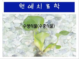 수생식물(수중식물).ppt-1페이지