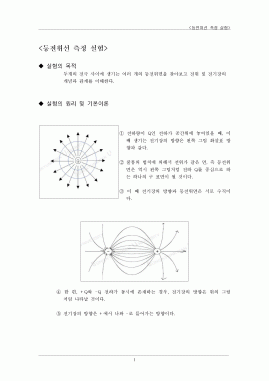 등전위선 측정 실험 결과보고서-1페이지