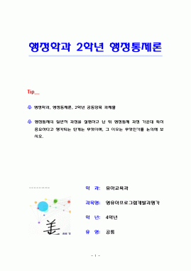 [행정통제론] 1) 행정통제의 일반적 과정 2)행정통제 과정 가운데 특히 중요하다고 생각되는 단계 3)그 이유는 무엇인가에 대한 논의-1페이지