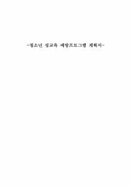 청소년 성교육 예방프로그램 계획서 -1페이지