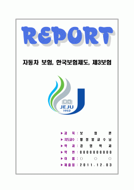 보험용어설명 (자동차 보험, 제3보험, 한국보험제도)-1페이지