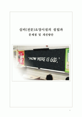 실비(전문)요양시설의 설립과 문제점 및 개선방안 -1페이지