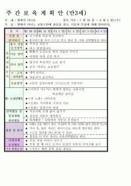 법인 어린이집 평가인증 통과한 만3세 8월 신나는여름 보육일지-1페이지