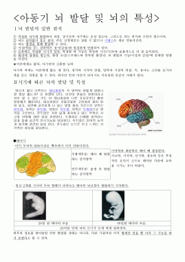 아동기 뇌 발달 및 뇌의 특성-1페이지
