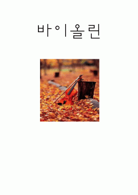 바이올린-1페이지