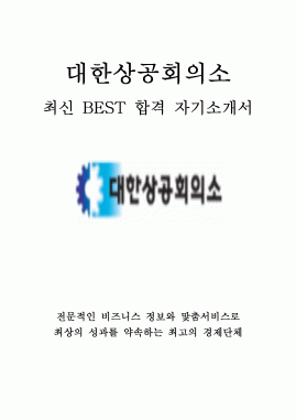 대한상공회의소 인턴 최신 BEST 합격 자기소개서!!!!-1페이지