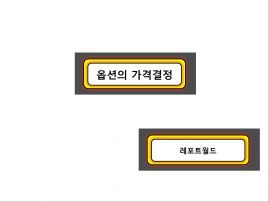 옵션의 가격 결정-1페이지