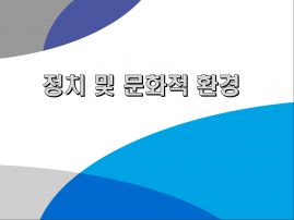 정치 및 문화적 환경.PPT자료-1페이지