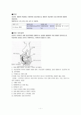 분만 간호-1페이지