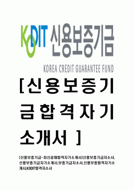 [신용보증기금-최신공채합격자기소개서] 신용보증기금자소서,신용보증기금자기소개서,보증기금자소서,신용보증합격자기소개서,KODIT합격자소서-1페이지