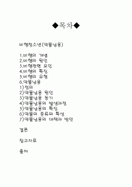 비행청소년(약물남용)-1페이지