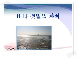 바다 갯벌의 가치-1페이지