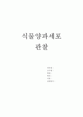 식물 양파 세포의 관찰-1페이지