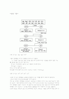 [실험] 양이온의분석 예비레포트-1페이지