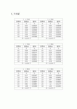 [일물실 실험] 전류저울-1페이지