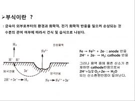 부 식-1페이지