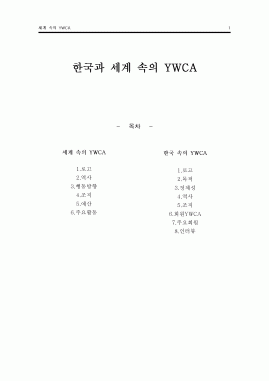 한국과 세계 속의 YWCA -1페이지