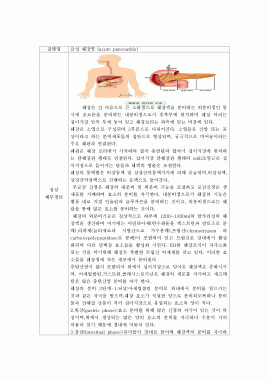 (성인) 급성 췌장염 간호과정-1페이지