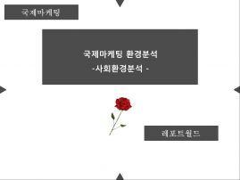 [국제마케팅]사회환경분석-1페이지