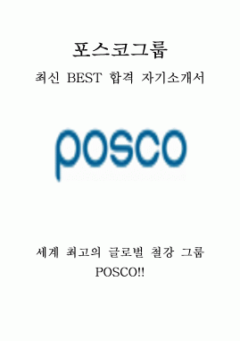 포스코그룹 POSCO Challenge 인턴십 최신 BEST 합격 자기소개서!!!!-1페이지