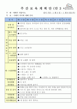 만3세 1월 새해/공룡나라 보육일지(보육실습일지) -1페이지