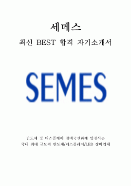 세메스 SEMES 석박사 장학생 최신 BEST 합격 자기소개서!!!!-1페이지