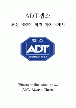 ADT캡스 CAPS 영업 최신 BEST 합격 자기소개서!!!!-1페이지