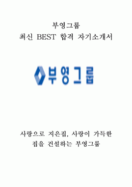  부영그룹 최신 BEST 합격 자기소개서!!!!-1페이지