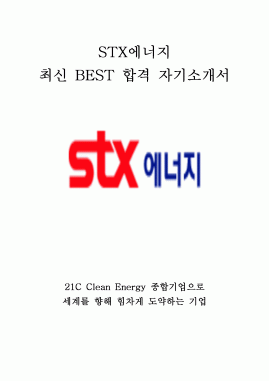  STX에너지 최신 BEST 합격 자기소개서!!!!-1페이지