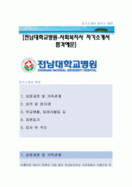 [전남대학교병원 사회복지사 자소서] 전남대학교병원,전남대학교병원자소서,전남대학교병원자기소개서-1페이지