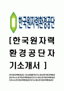 [한국원자력환경공단-최신공채합격 자기소개서] 한국원자력환경공단자소서,한국원자력환경공단자기소개서,한국원자력환경공단자소서,한국원자력환경공단자기소개서,한국원자력환경공단-1페이지