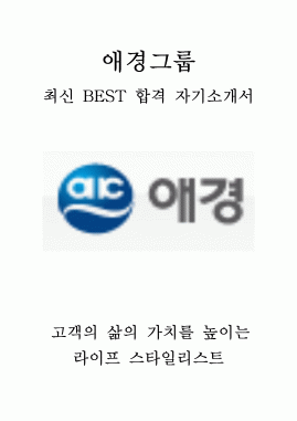 애경그룹 유통부문 인턴 최신 BEST 합격 자기소개서!!!!-1페이지