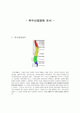 척수신경장애 조사 -1페이지