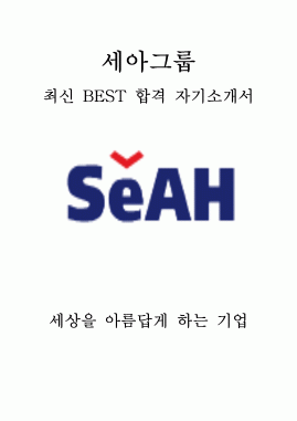  세아그룹 최신 BEST 합격 자기소개서!!!!-1페이지